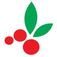fragole e fragoline – Azienda Agricola S.Antonio